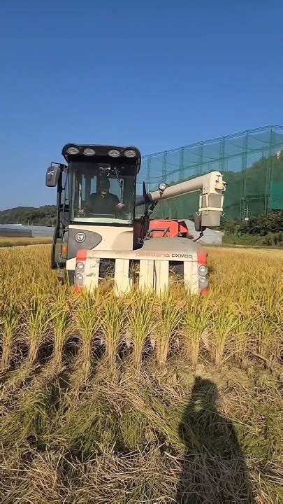 벼수확하기 논째기 Youtube