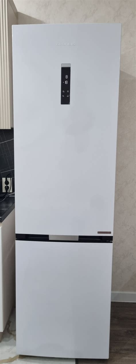 Холодильник Grundig GKPN669307FW | отзывы