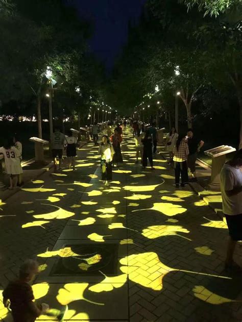 13个值得借鉴的梦幻灯光设计场景犹如爱丽丝梦游仙境 新闻 蛋蛋赞 Landscape Lighting Design Landscape