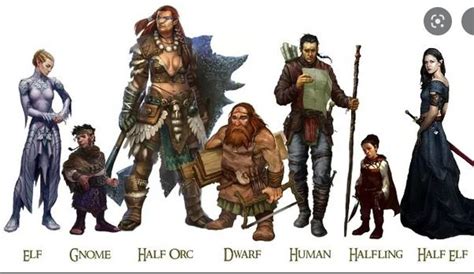 Character Creation In Dandd A Comprehensive Guide Virtual Tabletop Rpg Manager