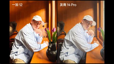 Oneplus опубликовала примеры фото сделанные камерой Oneplus 12 Gaich