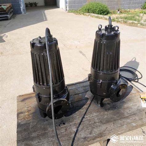 潜水污泥泵剩余污泥100wq65 15 55kw抽水泵蓝宝石环保
