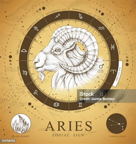 점성술 양자리 조디악 기호 빈티지 마법 마술 카드 현실적인 손 드로잉 램 또는 무플론 헤드 조디악 특성 드로잉에 대한 스톡 벡터 아트 및 기타 이미지 Istock