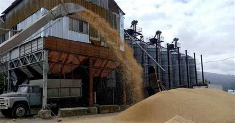مجموعة السبع تدعو إلى تمديد اتفاق الحبوب الأوكرانية الراي