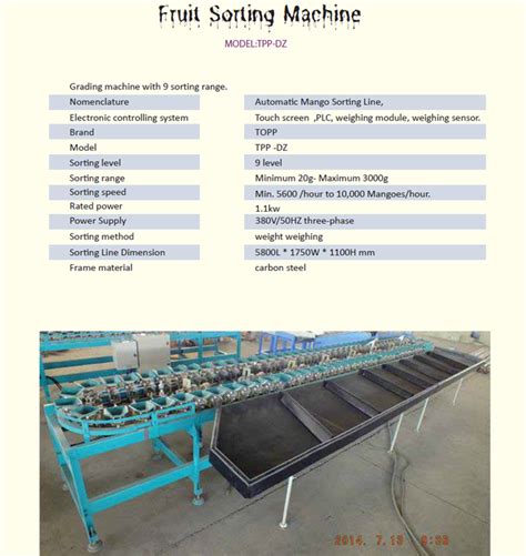 China Customized Automatic Mango Washing Drying Sorting Line Suppliers Manufacturers Factory