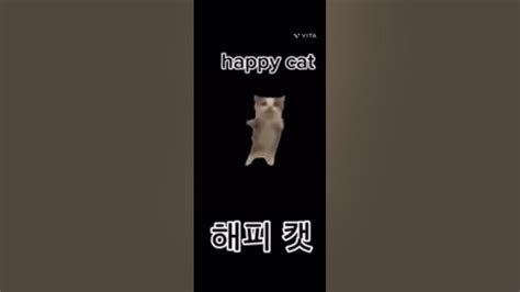 해피 해피 해피 캣happy Happy Happy Cat Youtube
