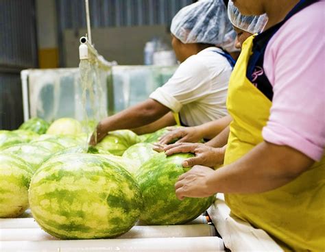 Melones Fyffes Es