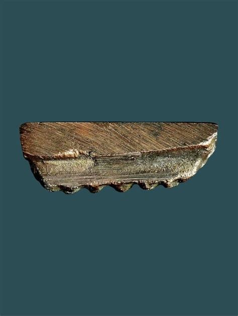 หลวงปู่ทวดเตารีดพิมพ์ A วัดคอกหมู วัดสิตาราม กรุงเทพฯ ปี 2505 สวย เก่า เดิมๆ Ennxo