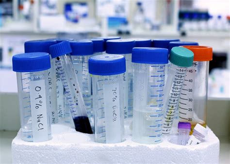 Polystyrene Densifier Helps Irish Lab Recycle Polystyrene Containers During Experiments