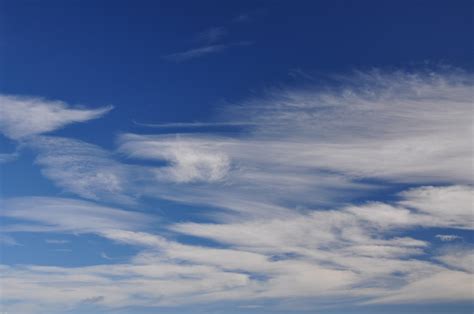 무료 이미지 수평선 하늘 햇빛 공기 전망 새벽 황혼 낮 명확한 모델 모호한 자연스러운 날씨 적운 고요한 푸른 환경 투명한 긴 아름다운