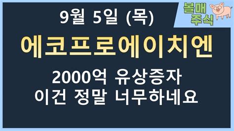에코프로에이치엔 2000억 유상증자 이건 정말 너무하네요 Youtube