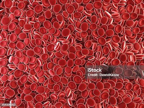 Sel Darah Merah Latar Belakang Ilustrasi Eritrosit Foto Stok Unduh