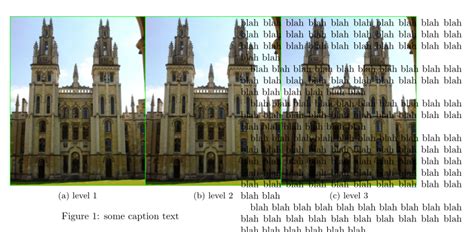 Subfloats How To Put Several Images Side By Side In Just One Column