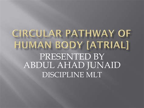 Solution Circular Pathway Of Human Body Studypool