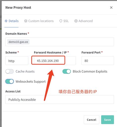 如何在nginx Proxy Manager（npm）上部署静态网站 我不是咕咕鸽