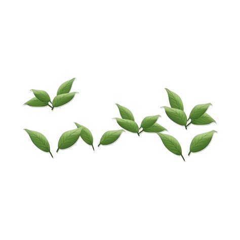 Hojas Png Hoja Verde Hoja Hojas Png Pintadas A Mano Png Imagen Para