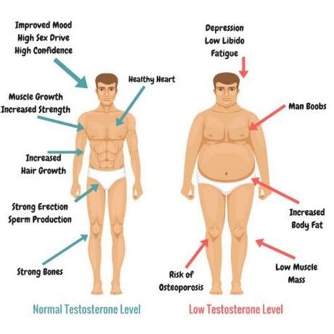Low Testosterone Symptoms Signs You Need To Watch For Artofit