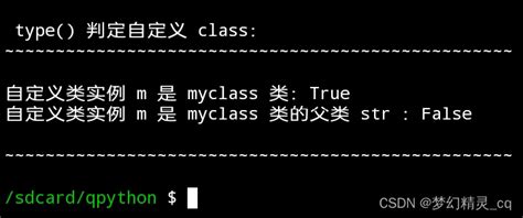 Python 的 Type 和 Isinstance 函数 Csdn博客