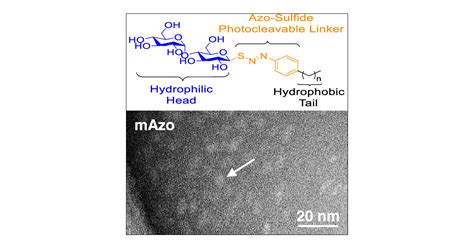 Synthesis Self Assembly Properties And Degradation Characterization