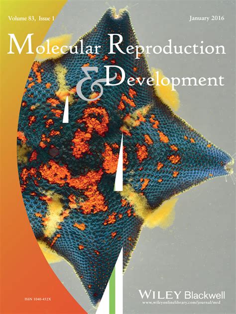 Identification Of The Molecular Sex‐differentiation Period In The