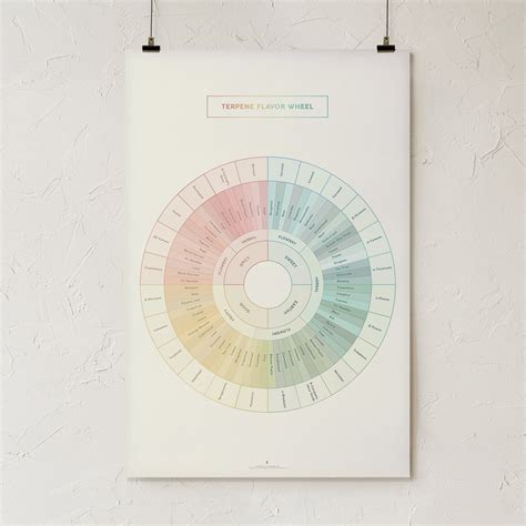 Terpene Flavor Wheel Diagram Chart Of Terpene Aroma Print By Etsy