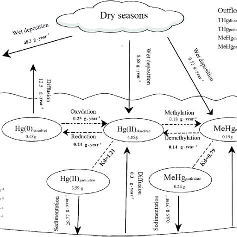 Mercury Fluxes Transformations And Mass Balance In The Dajiuhu Wetland Download Scientific