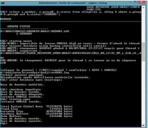 Base De Données Oracle 11gr2 Inaccessible Erreur Ora 00600 Kcratrnab