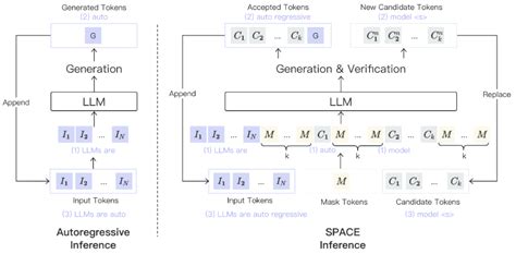 Speculative Decoding 论文阅读合订本 知乎