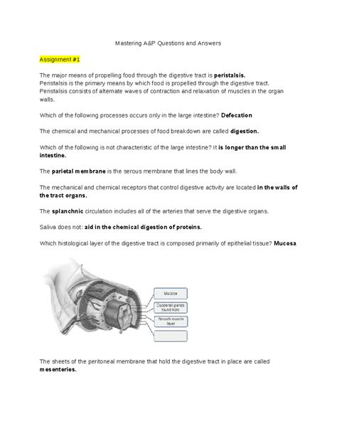 Mastering Lab A P At Lucy Via Blog