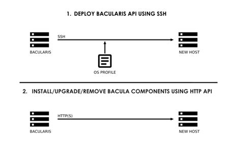 Basic Information — Bacularis Documentation