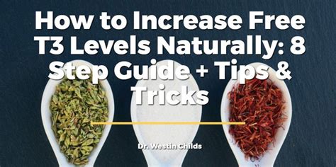 How To Increase Free T3 Levels Naturally 8 Step Guide How To Improve