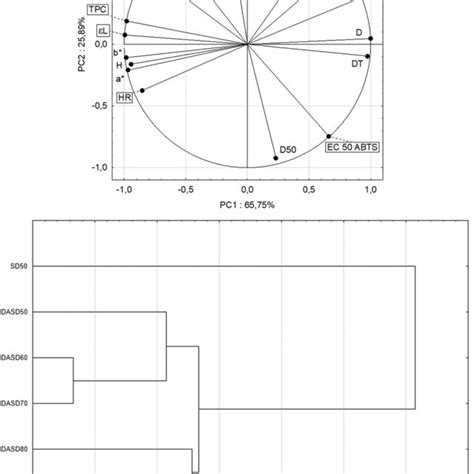 principal component analysis pca score plot and dendrogram plot from