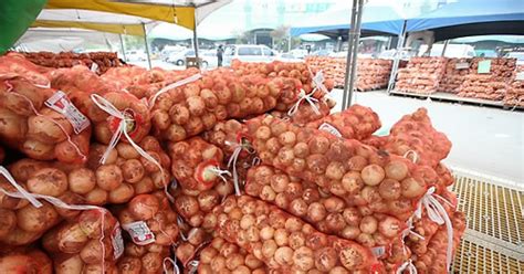 농수산식품유통공사 수입양파 3만9천t 추가 공급