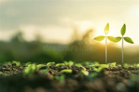 Wind Turbine For Generating Renewable Energy In The Form Of A Young