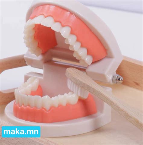 ШҮДНИЙ ЗАГВАР