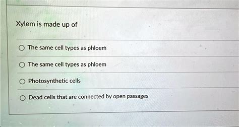 Xylem Is Made Up Of Q The Same Cell Types As Phloem The Same Cell Types As Phloem Photosynthetic