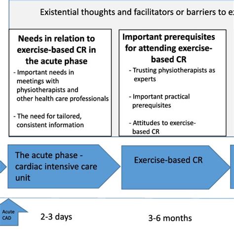 Figure Of Main Categories Sub Categories And Overall Theme Download Scientific Diagram