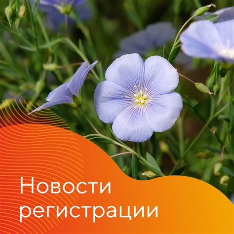 Горгон