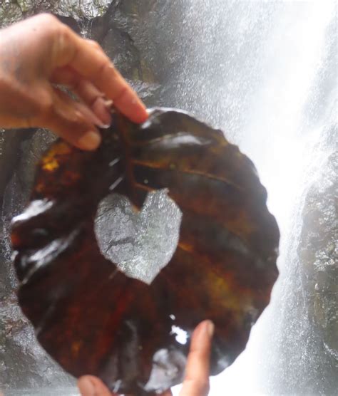 Welcome To Continuing Loving Bonds Continuing Loving Bonds