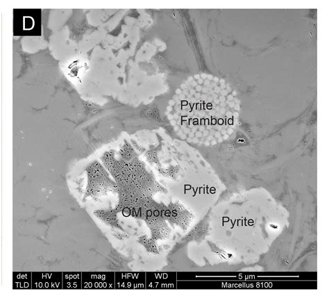 The Bureaus Sem Lab Is Now E Mage Lab With A New Logo And Expanded