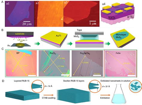 Two Dimensional Materials Synthesis And Applications In The Electro Reduction Of Carbon Dioxide