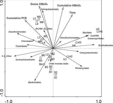 Redundancy Analysis Triplot Showing Relationship Between Microbial