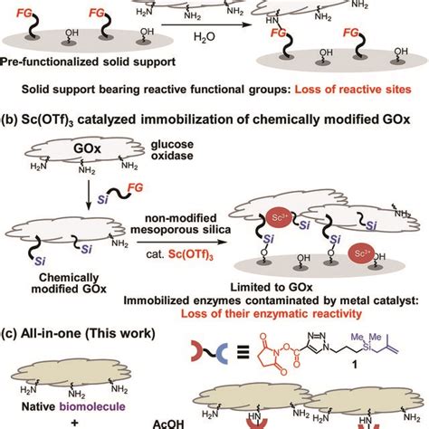 A Conventional Multi Step Methods On Biomolecule Immobilization B Download Scientific