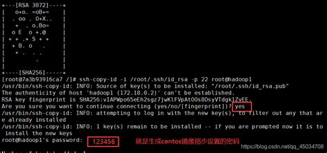 使用docker部署hadoop集群 手把手复现docker部署hadooo集群 Csdn博客