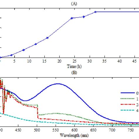 Decolorization Of Reactive Black 5 By C Krusei Under Different Culture