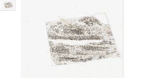 The Bone Tissue Human Anatomy And Physiology Laboratory Manual Understanding How Structure