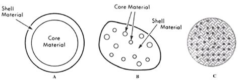 Morphology Of Microcapsules A Mononuclear Or Continuous Coreshell Morphology Of Microcapsules A Mononuclear Or Continuous Coreshell