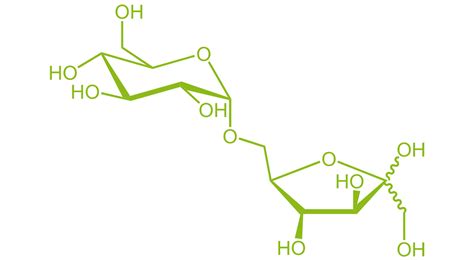 Feiten Informatie Over Isomalt Zoetstof Stevia Pura