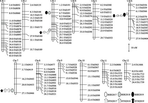 Genetic Linkage Map Of 112 Snp Markers And Positions Of The Qtls For Download Scientific