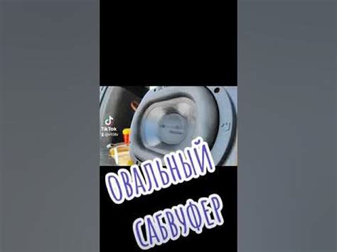 Мощный овальный сабвуфер в полку DL Audio Phoenix Black Bass 69 # ...